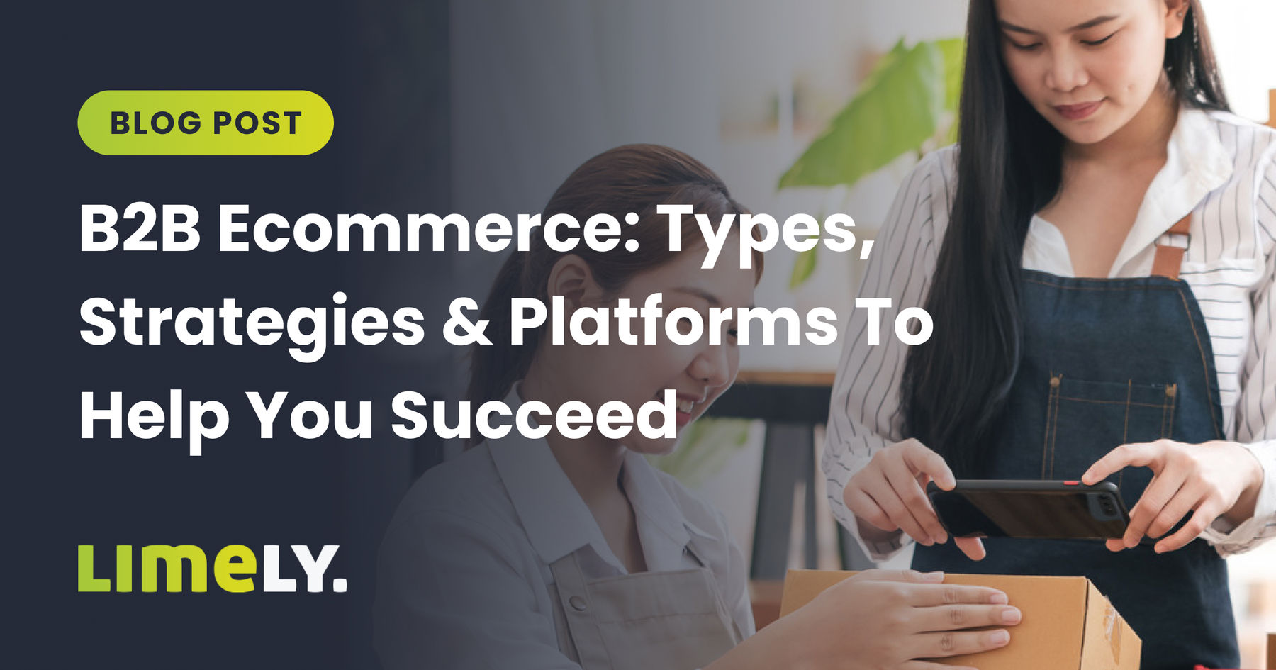 B2B Ecommerce: Types, Strategies & Platforms To Help You Succeed | Limely