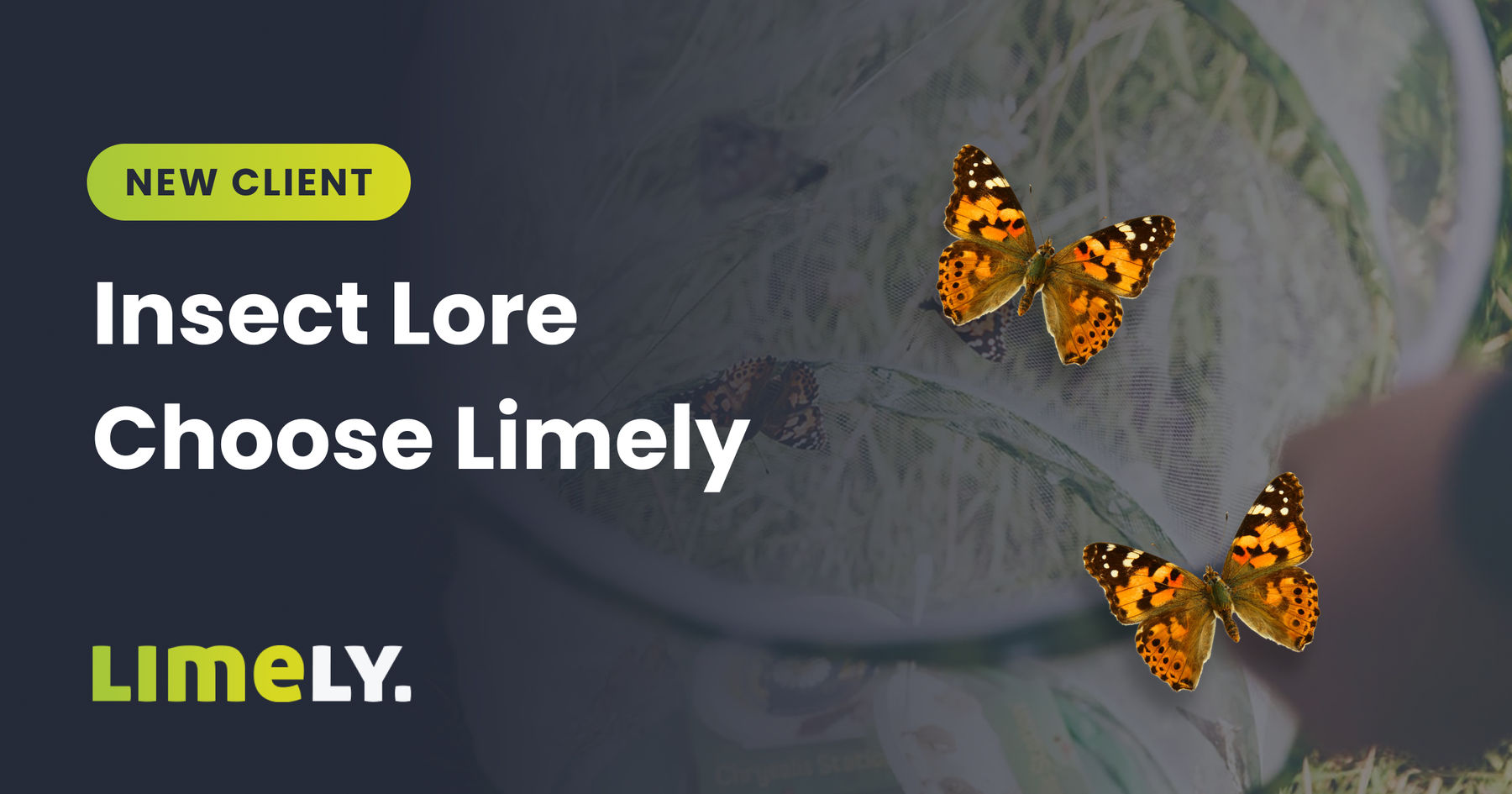 Limely Welcomes Insect Lore | Limely