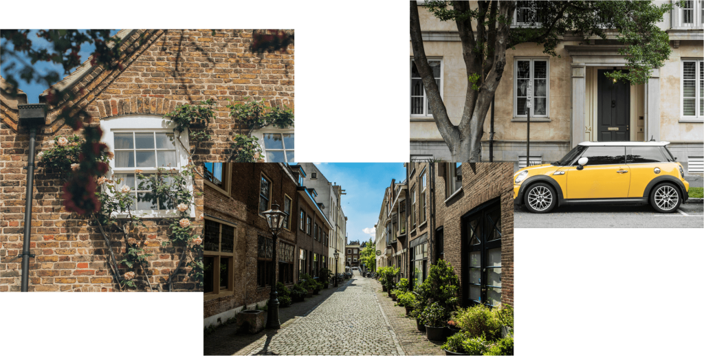 Paul Rolfe Goes Live! | Limely